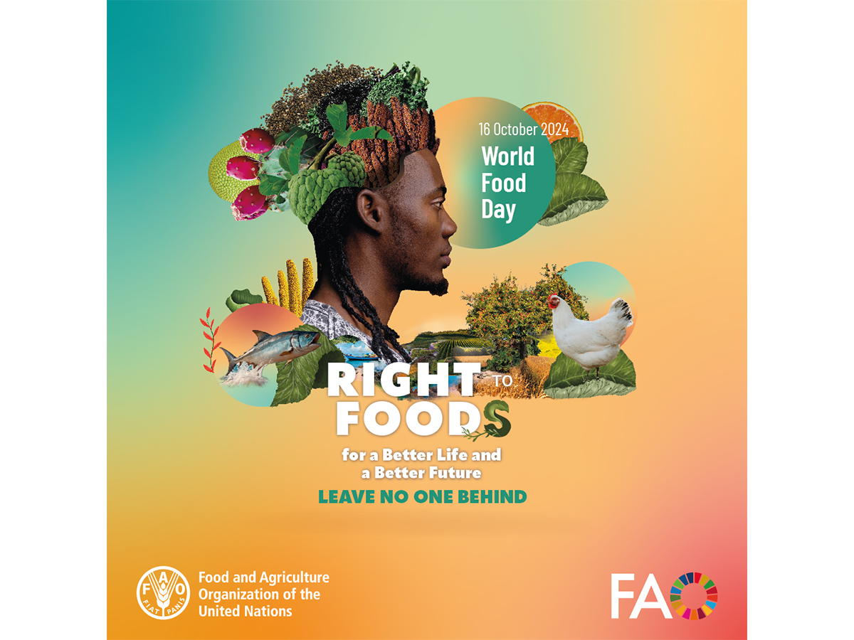 World Food Day 2024: Right to Foods for a Better Life and a Better ...